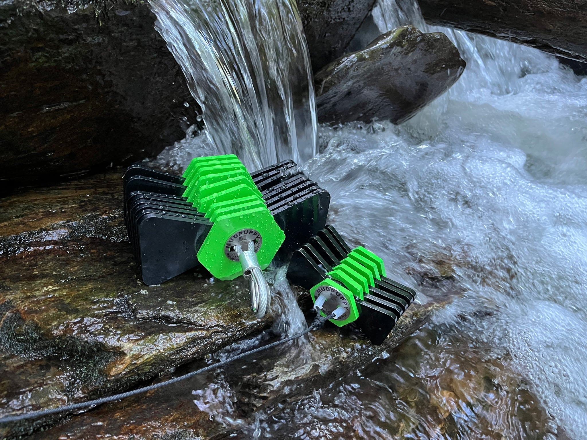 𝘖𝘶𝘳 𝘈𝘯𝘤𝘩𝘰𝘳𝘴 – Mudpuppy